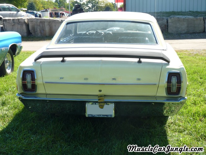 1968 Fairlane 500 Rear