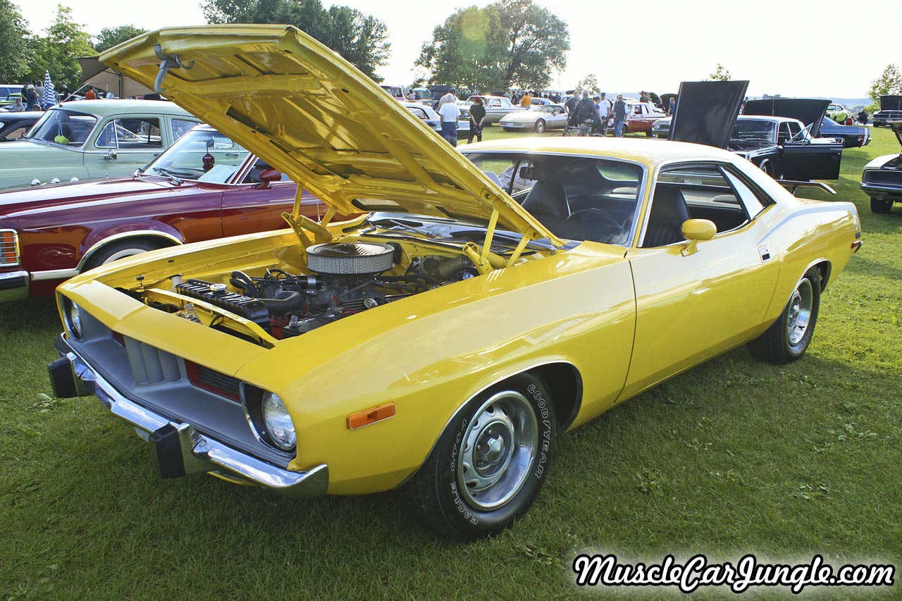 Barracuda Pictures by Year